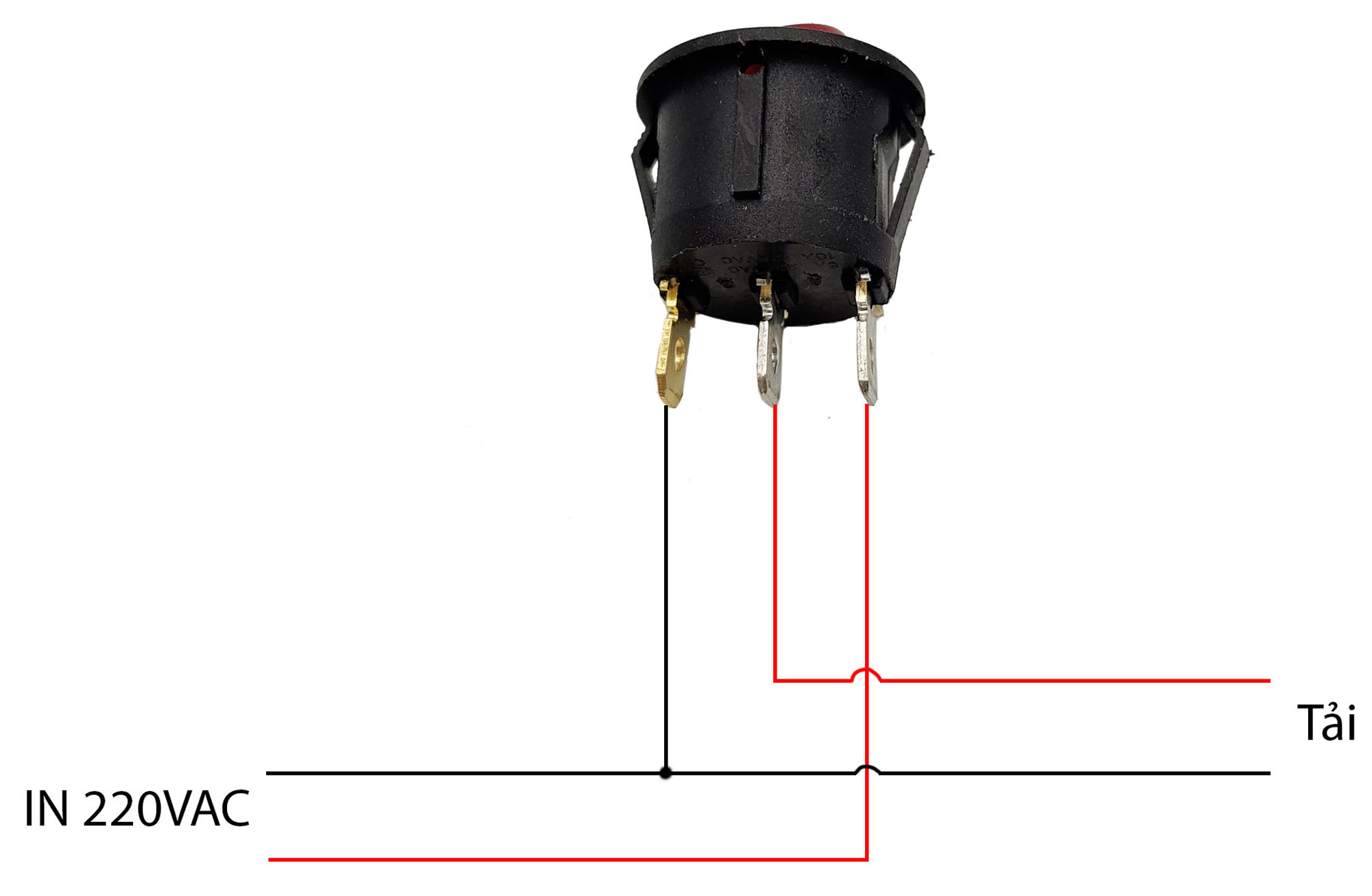 Công Tắc Tròn Có Đèn KCD1-105 - Nshop