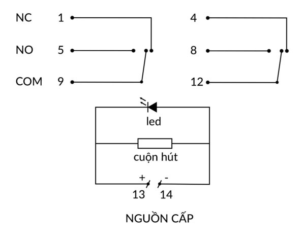 Relay trung gian HH52P - Nshop
